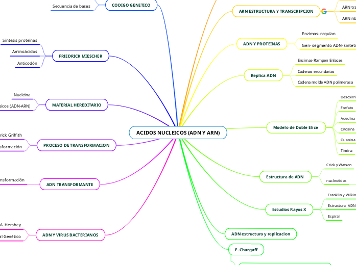 ACIDOS NUCLEICOS (ADN Y ARN) - Mind Map